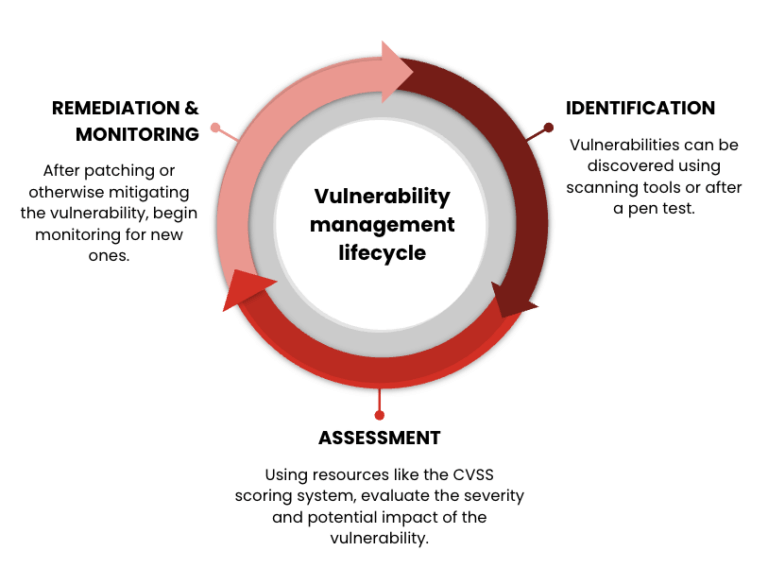 Vulnerability management lifecycle | Red Canary